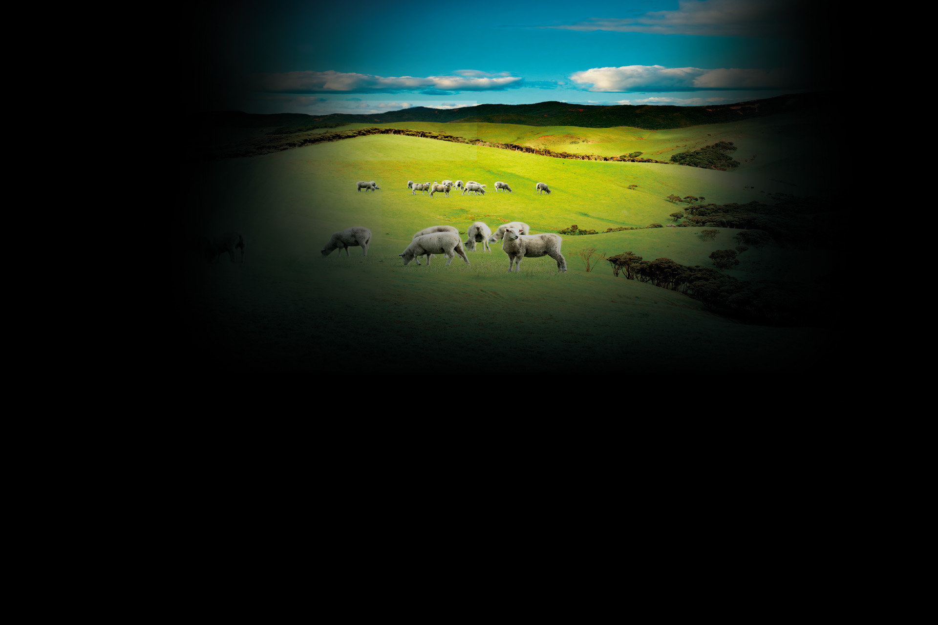 PURE INSTINCT – SAGAFLOR AG